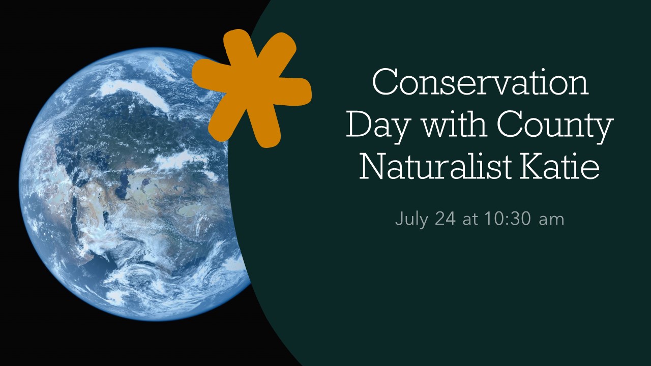 Storm Lake Public Library